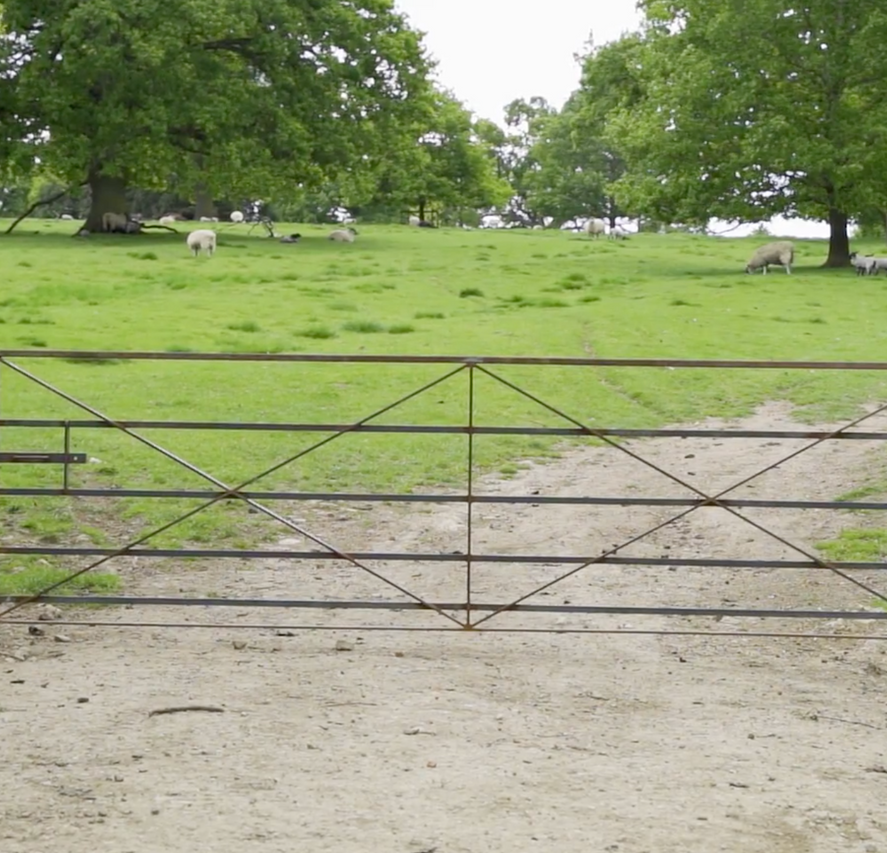 Posts | Britannia Estate Fencing