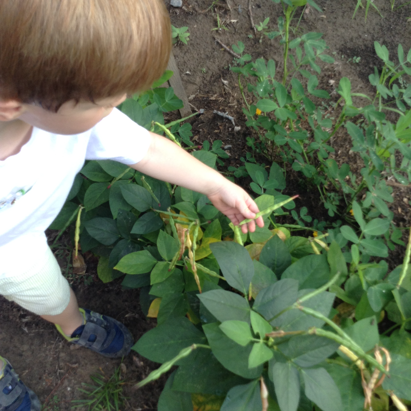 The Savvy Apple Preschool | Beaufort | Preschool & Child Care