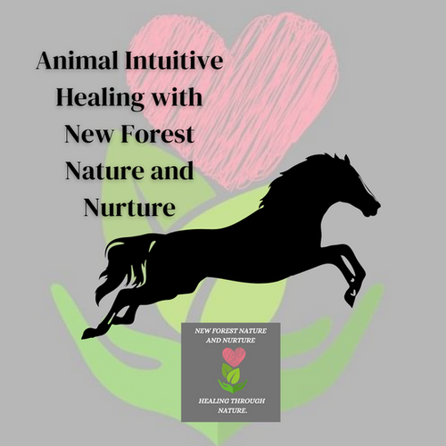Animal intuitive healing session | NF nature and nurture
