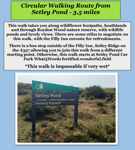 Setley Ridge - New Forest Walking Route | NF nature and nurture