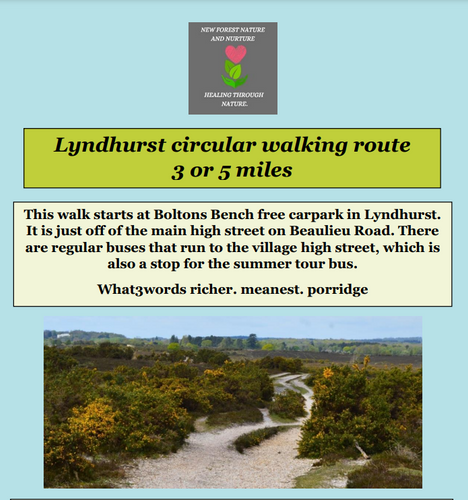 Lyndhurst - New Forest walking Route | NF nature and nurture