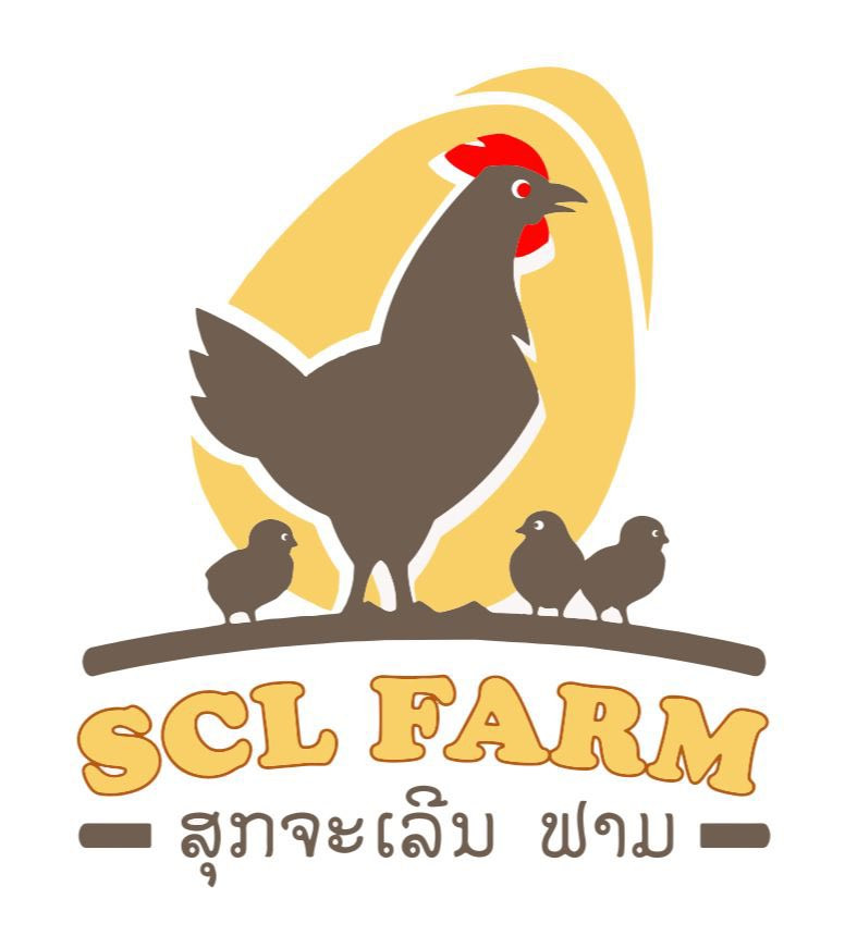 SCL Farm Laos | Soukchaleun Farm I Chicken egg farm laos | SCL GROUP