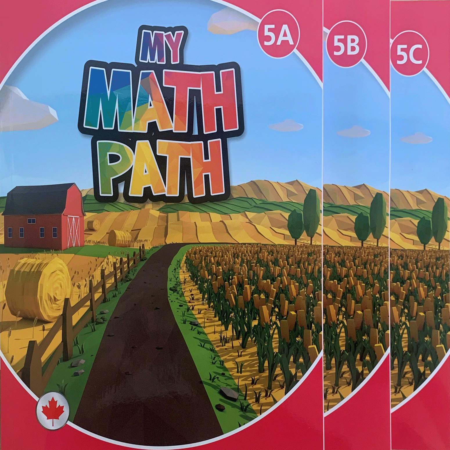 My Math Path Grade 5 Bundle - 3 books | BuyBack Books
