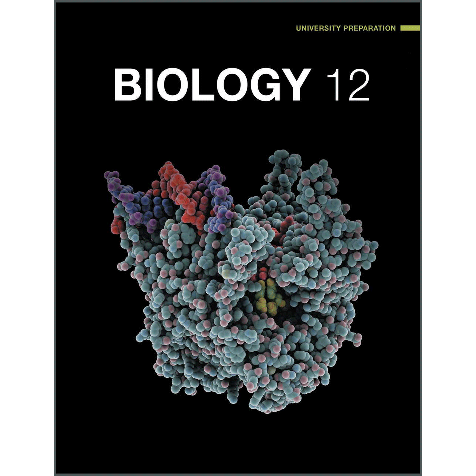 Biology 12 Textbook | BuyBack Books