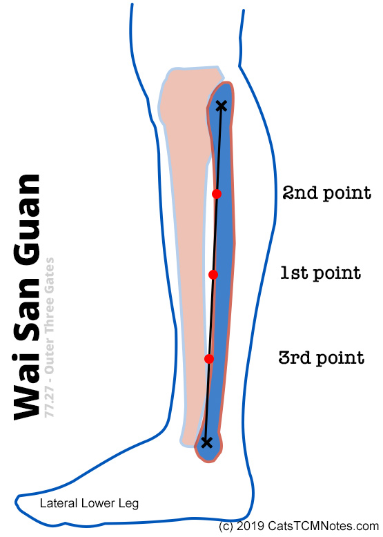 Wai San Guan - 77.27