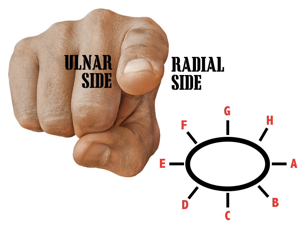 Finding Master Tung Finger Points