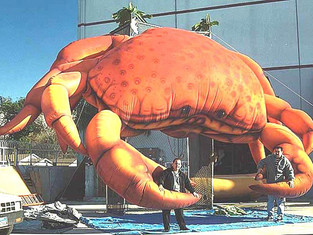 Giant Inflatable Sea Creatures: Fish, Octopus