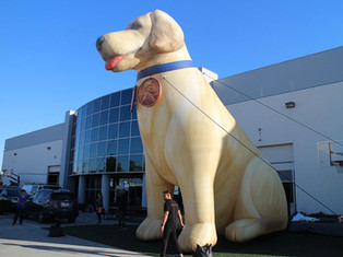 Giant Inflatable Dogs & Cats - Puppy, Chihuahua, Labrador, Bulldog