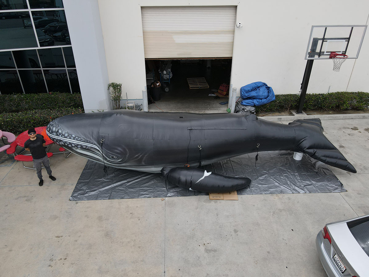 Giant Inflatable Humpback Whales