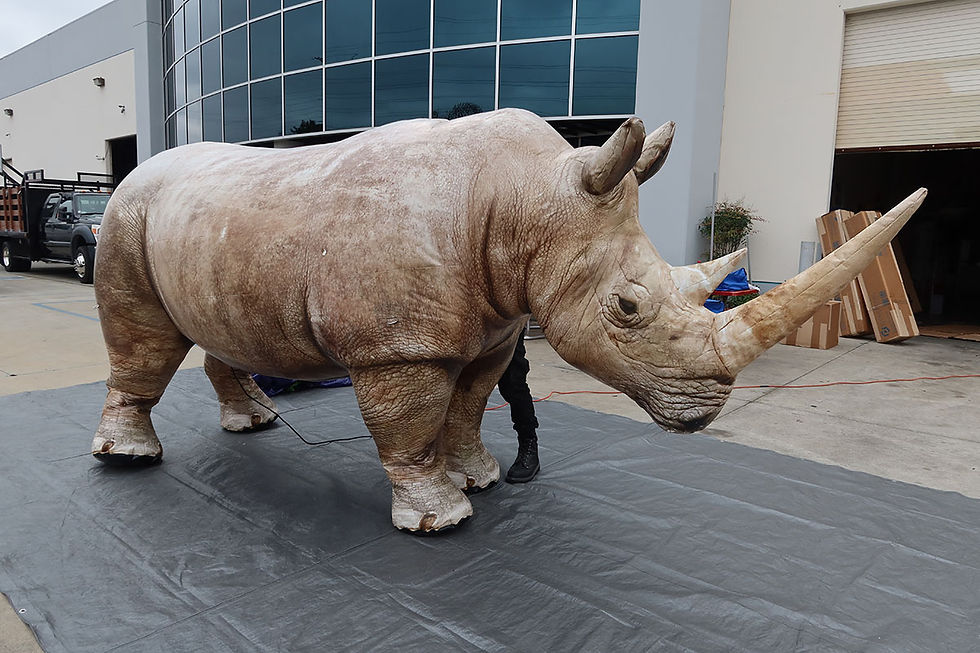 Inflatable Rhino