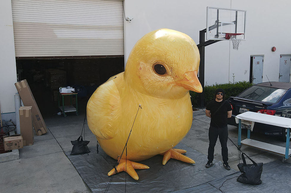 Giant Inflatable Chicken