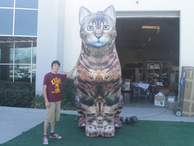 Giant Inflatable Cats