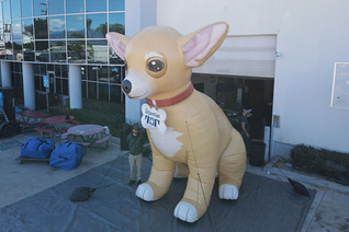 Giant Inflatables | Custom Inflatable Products