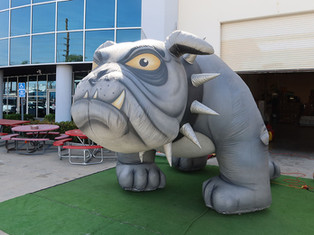 Giant Inflatable Dogs & Cats - Creatable Inflatables