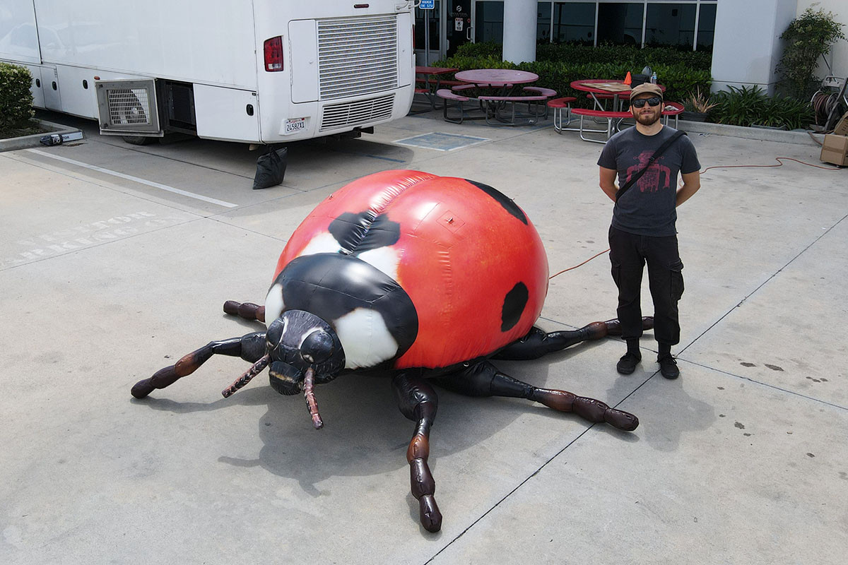 Giant Inflatable Ladybug | Los Angeles, CA
