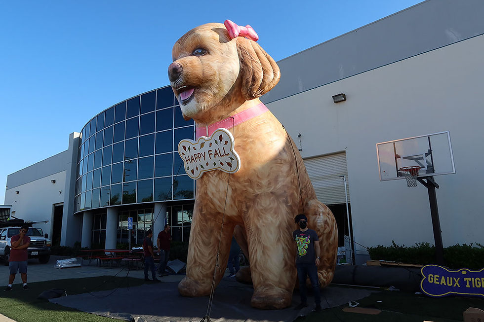 Giant Inflatable Poodle Dogs