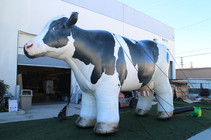 Giant Custom Inflatables For Advertising | Los Angeles