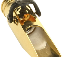 THEO WANNE INSTRUMENTS | The Wedge Distribution | United States