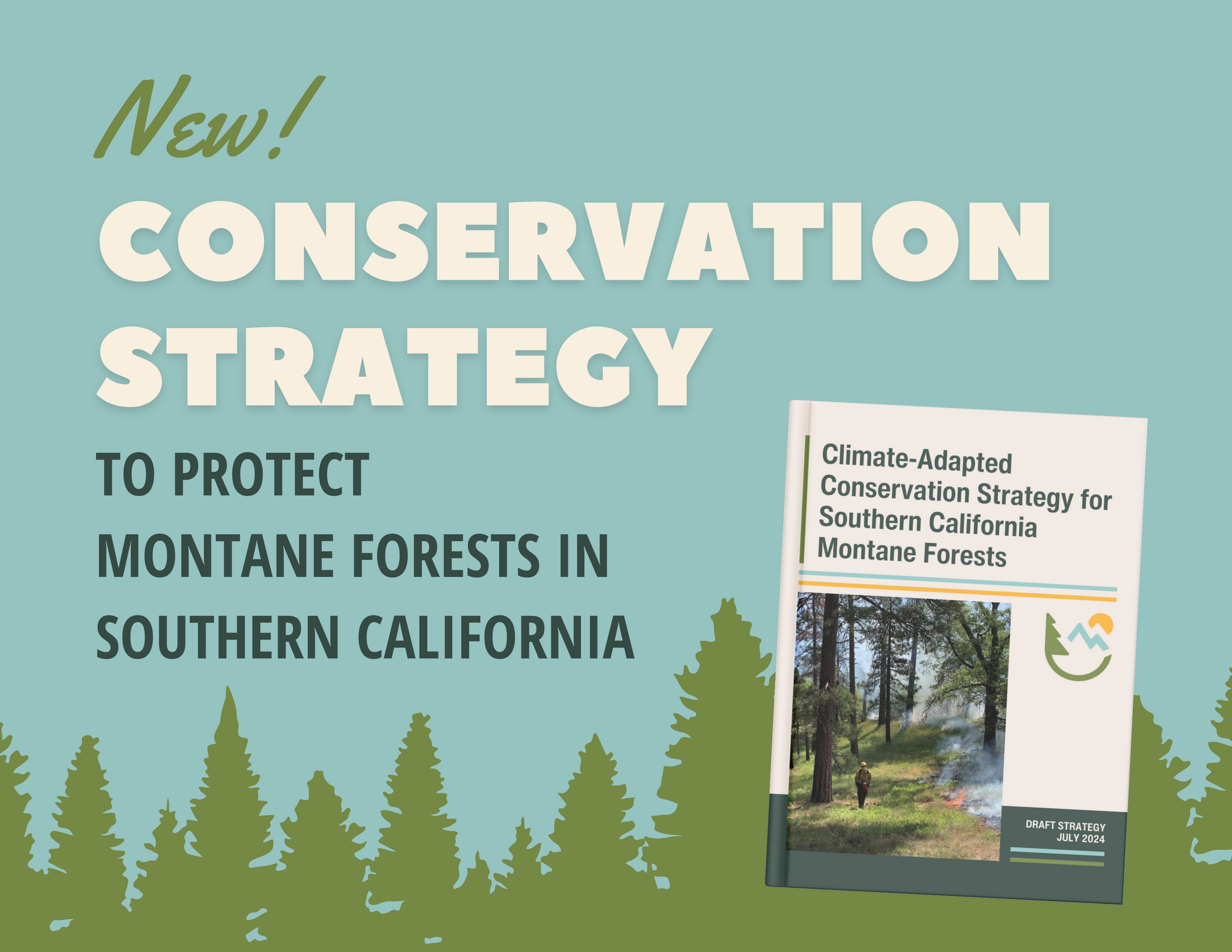 New Conservation Strategy to Protect Montane Forests in Southern California