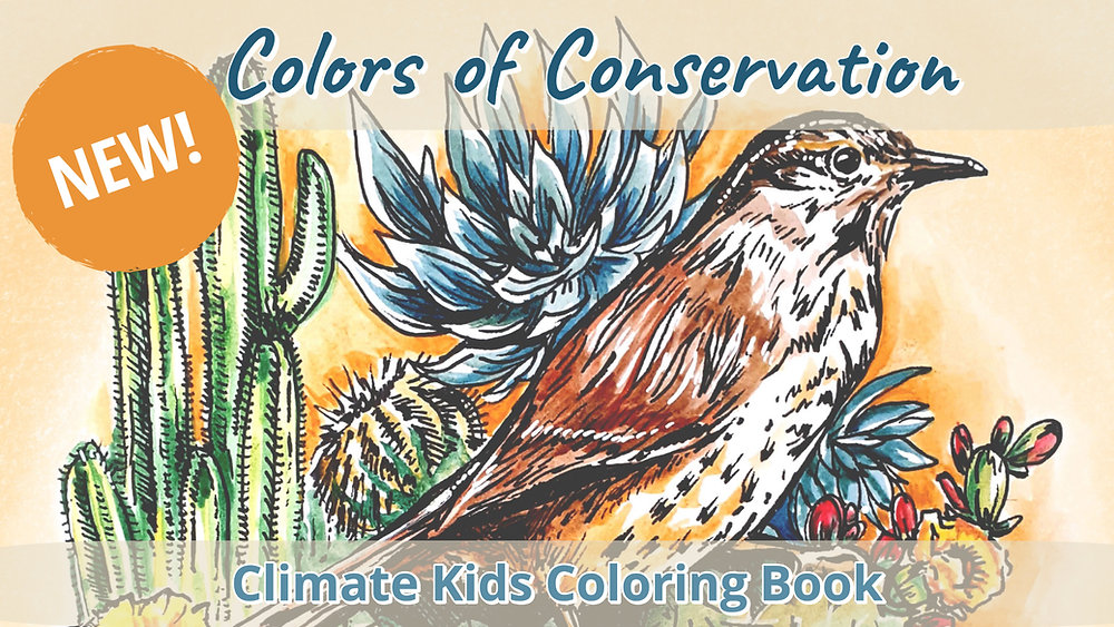 New from Climate Kids - Colors of Conservation Coloring Book!