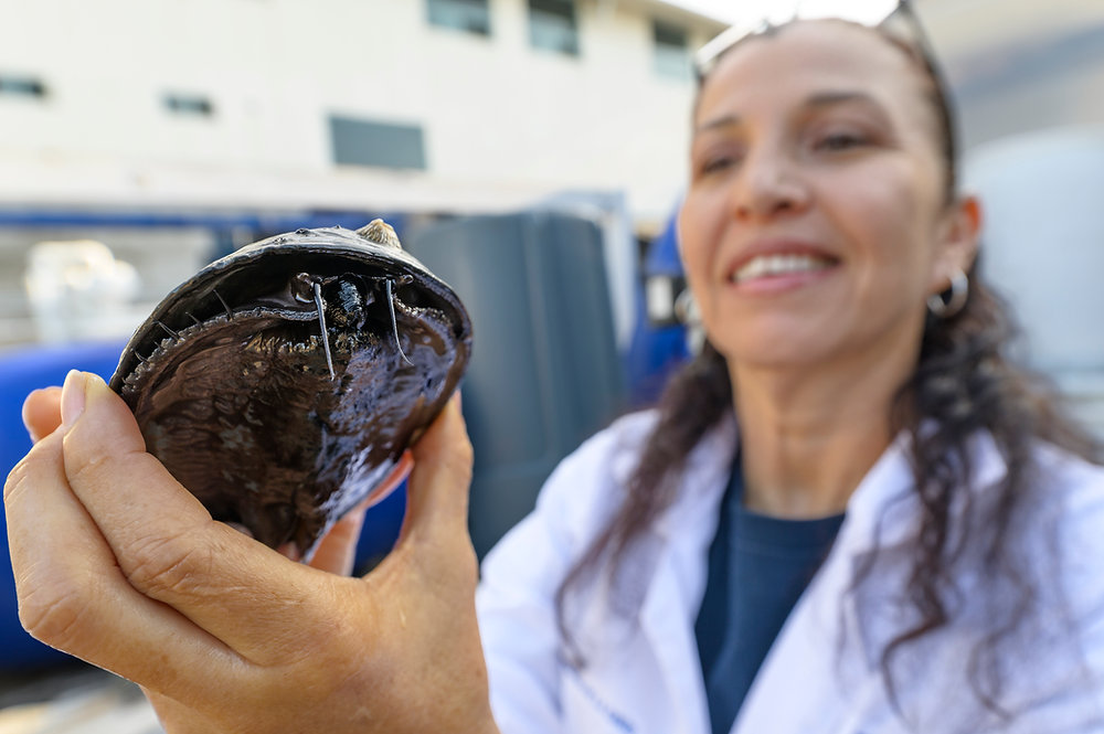 Small Grant Awardee Uses Conservation Storytelling in Binational Effort ...