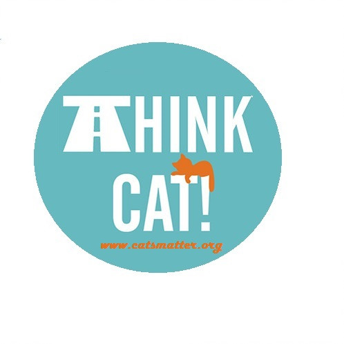 'Think Cat' Car Window Sticker