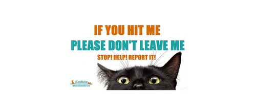 If You Hit Me Car Window Sticker | catsmatter