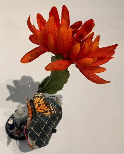 CYBUG SunFlower / Flitterbug Solar Kit | JCM Education