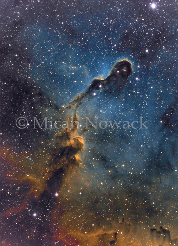 Elephant Nebula Photo/Poster Print | Country Astronomer