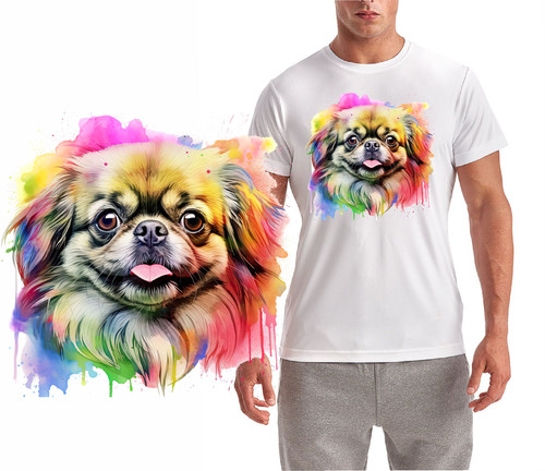 Pekingese Color Splash | Jody's Site