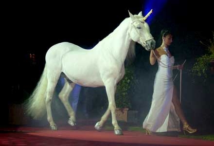 Animation Cheval Licorne pour événement | ANIMATION EVENEMENT