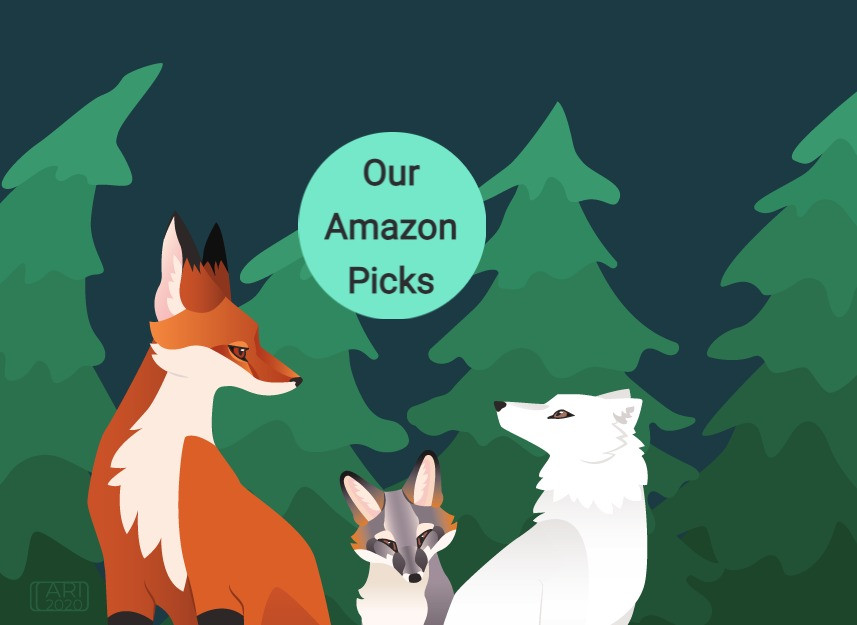 Amazon Products We Love & Recommend | Arctic Fox Daily