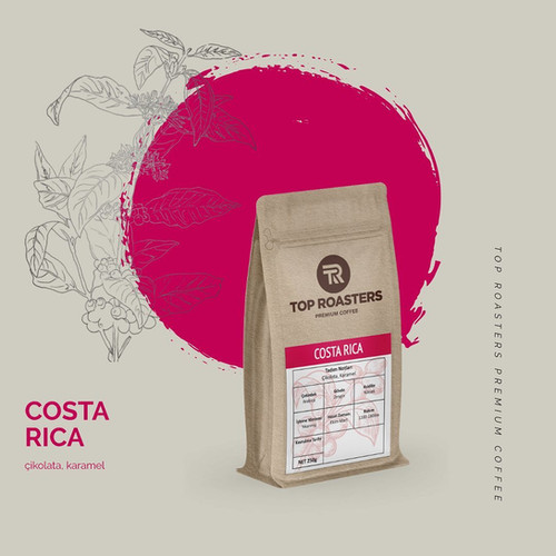 Costa Rica - Filter Coffee | Top Roasters Coffee