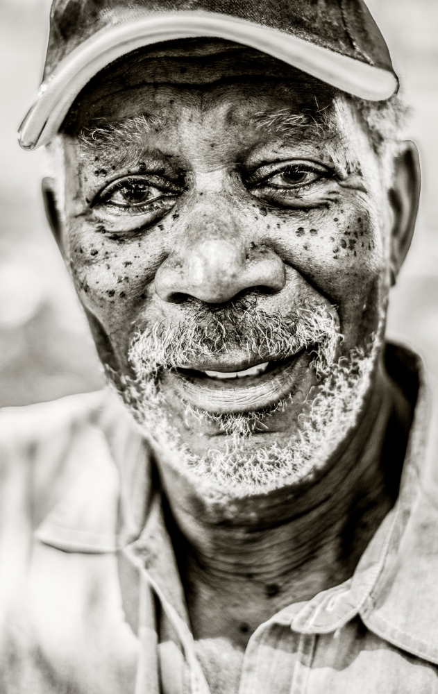 The Telegraph | anthonycullen