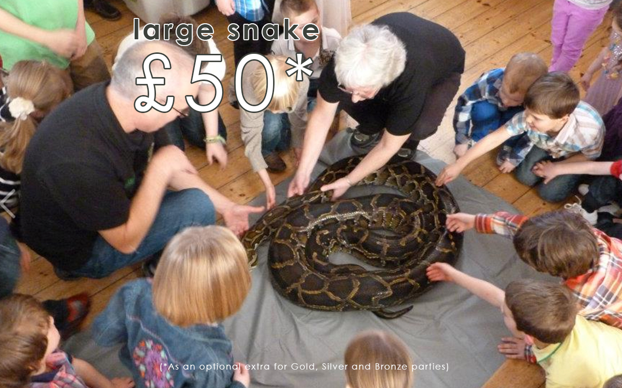 snakes alive | Reptile Animal Themed Parties for Childrens in Essex