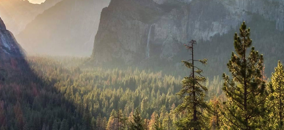 BOARD OF DIRECTORS | BuildIT