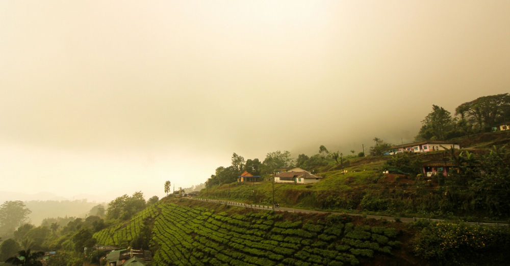 Best time to visit Kerala - What is the best you can get