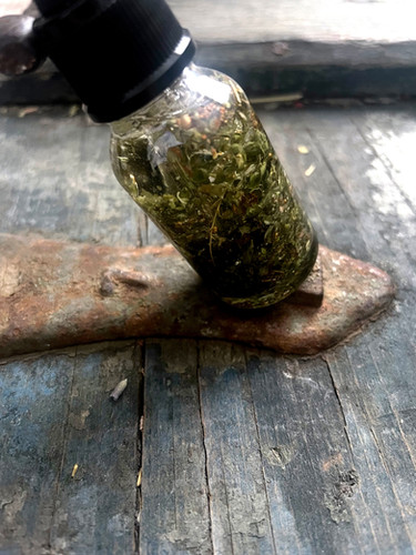 Practical Magic: Sally Ritual Oil | The Tiny Cauldron