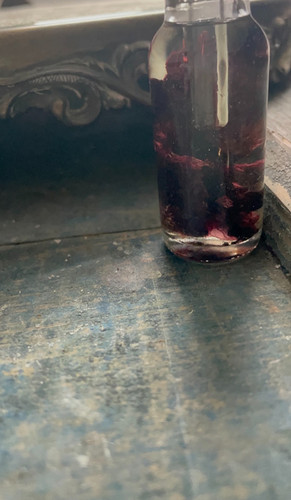 Poppy Oil | The Tiny Cauldron