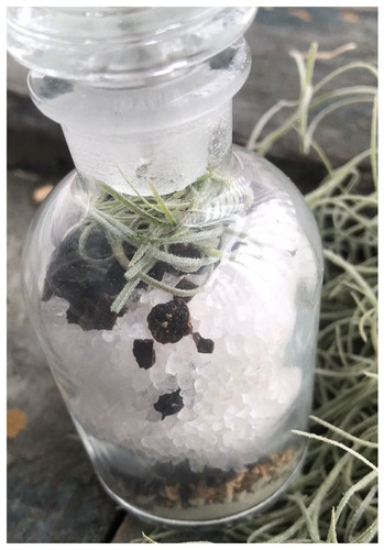 Water Witchcraft Kit: witchcraft supply, beginner altar ritual tools