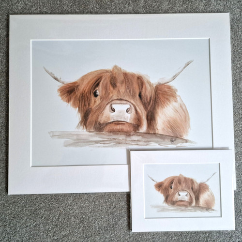 Highland Cow Print Mounted | Emma Keys Portraits