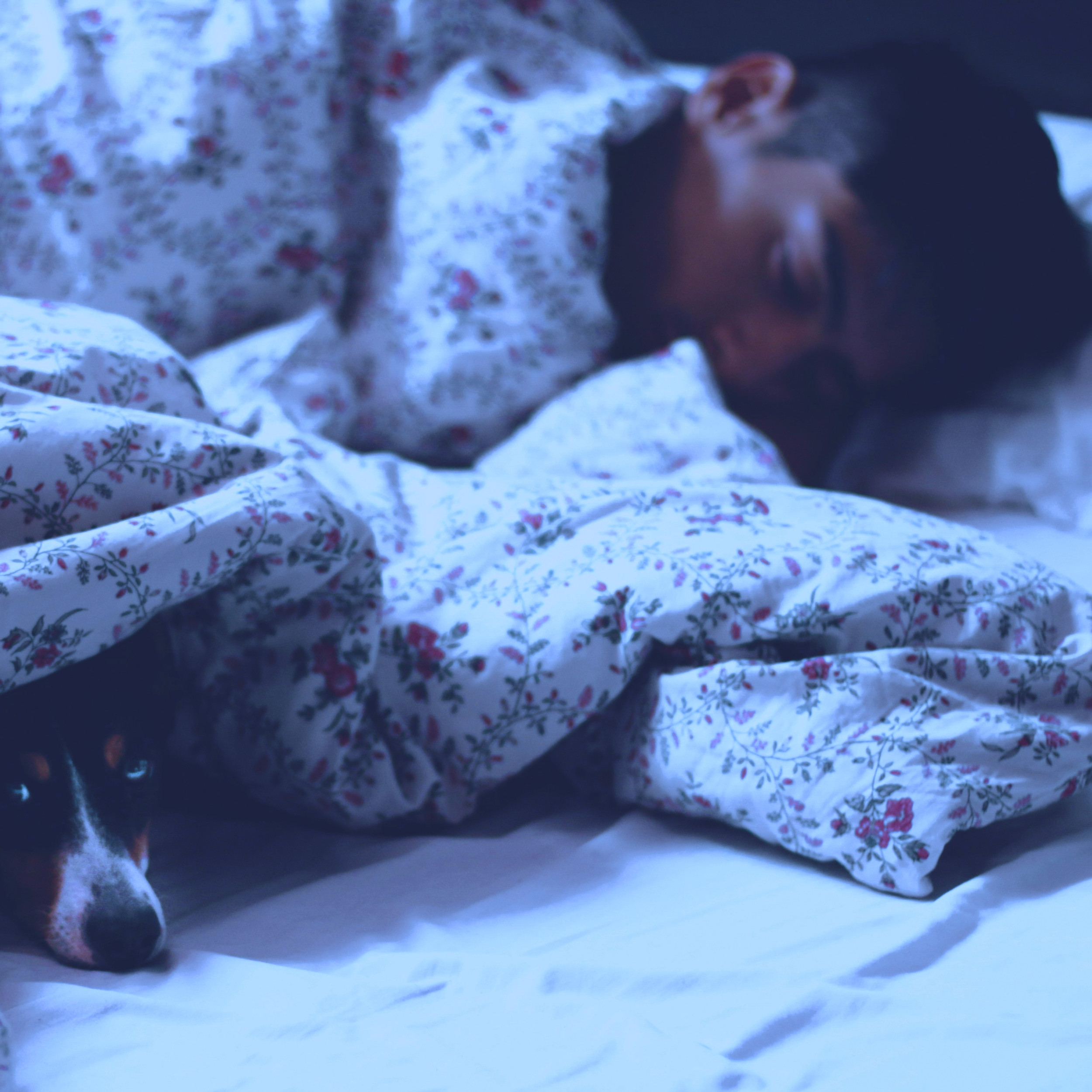 8 Rituals to Sleep Like a Pro: Inspired by Bryan Johnson