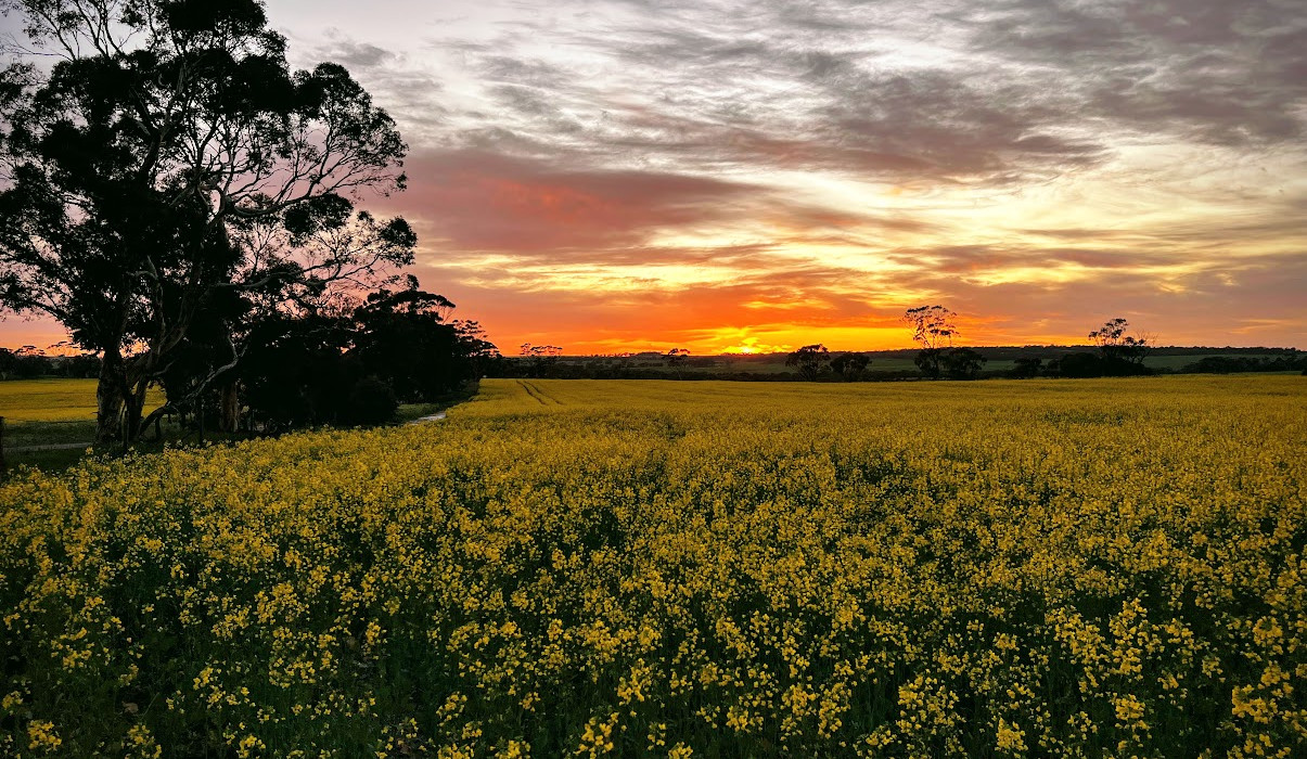 Home | Brooklands Farms