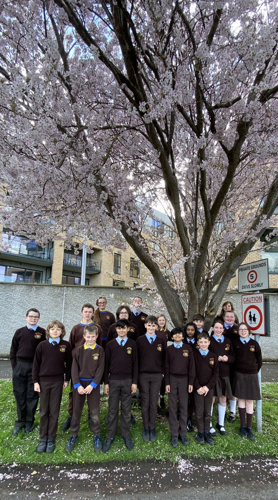 National Tree Week 5th Class