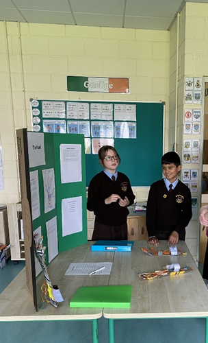 5th Class - Hand Science Project
