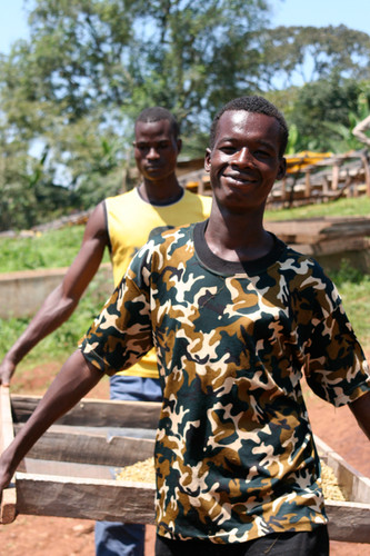 Uraga | Guji | Origins Coffee