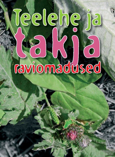 Teelehe ja takja raviomadused | odamees