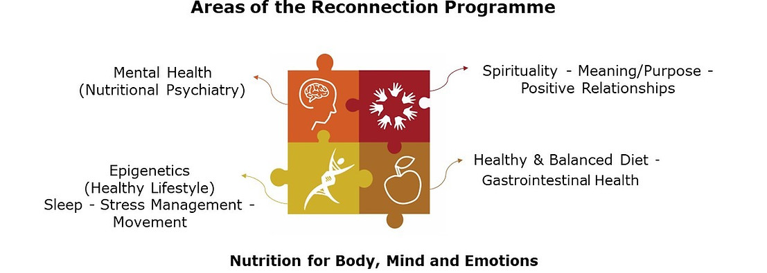 Services | Reconnection