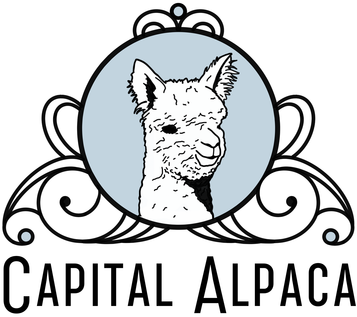 Capital Alpaca | Alpaca Breeder | Little Pethills Farm, Hollin Lane ...