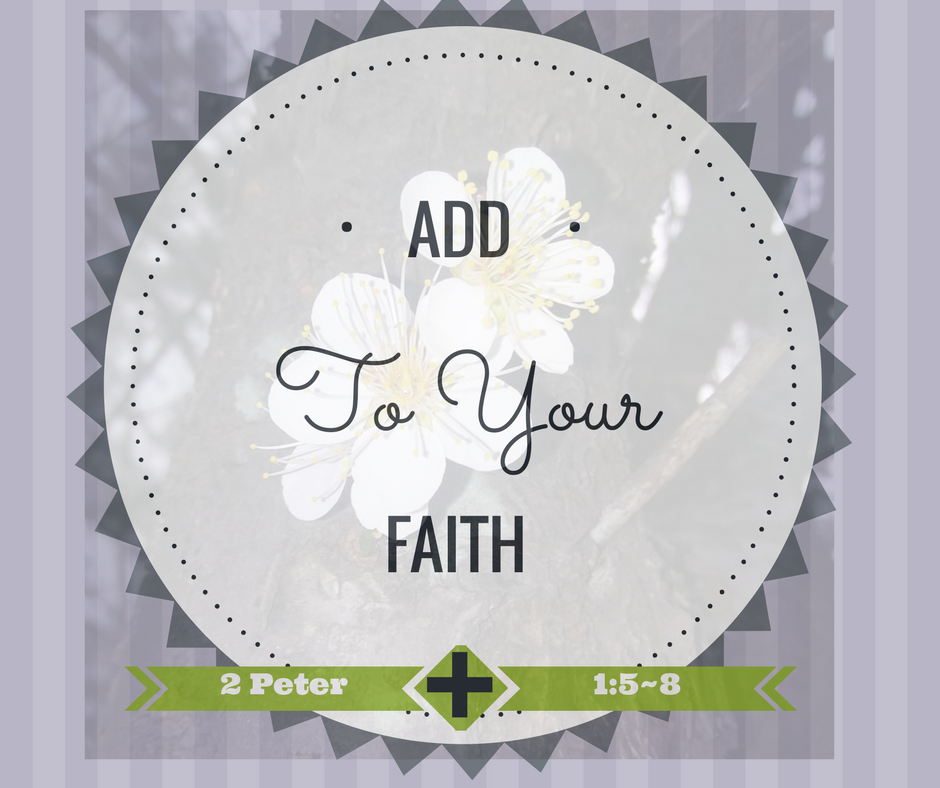 Bible Study Ministries Home | addtoyourfaith